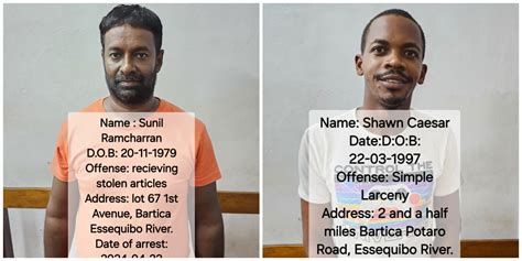Security Guard Businessman Charged With Theft Of Solar Panels From