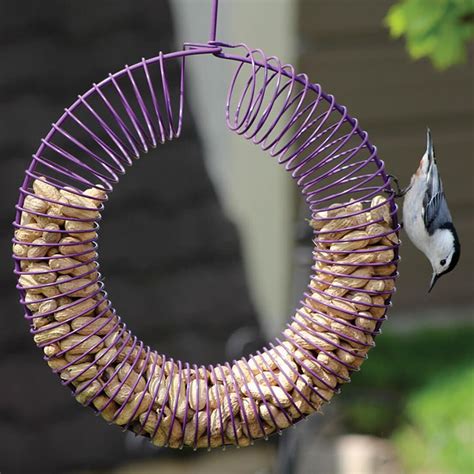 Peanut Wreath Feeder Assorted Colours Ritchie Feed And Seed Inc