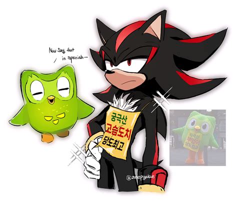 Shapam Zeepgalae Duo Duolingo Shadow The Hedgehog Duolingo