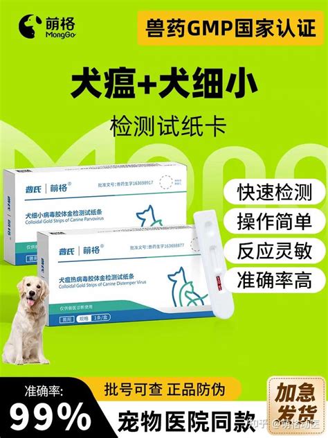 狗狗犬瘟和犬细小的区别 知乎