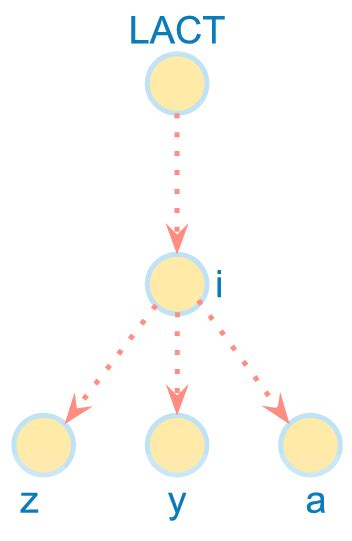 The Boolean Model Of The Lac Operon The Lactose Has A Negative