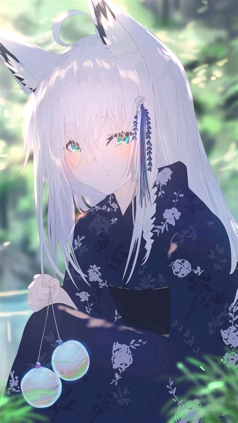 二次元世界 哔哩哔哩