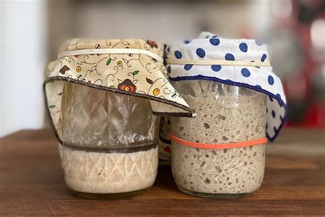 Active Sourdough Starter Vs Discard