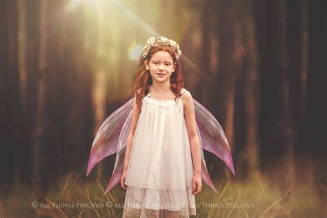 20 Png Fairy Wing Overlays Set 38 Insect Wings Overlays