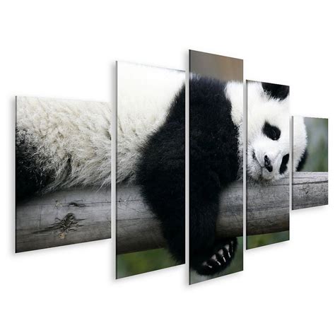 Islandburner Leinwandbild Bild Auf Leinwand Panda Bär Wandbild