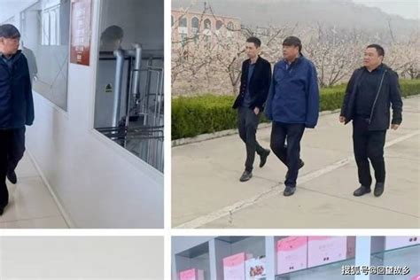 卢氏县文峪乡：招商引资强产业 争创产业兴旺星樱桃工作产品
