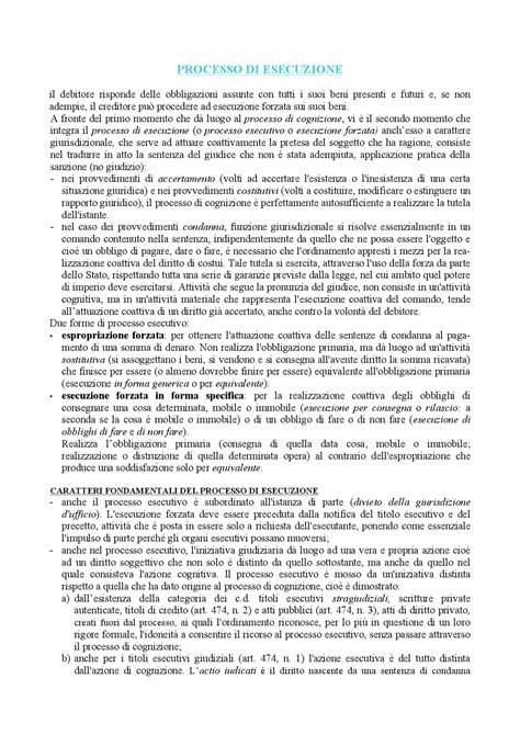 Processo Di Esecuzione I Procedimenti Speciali Appunti Diritto