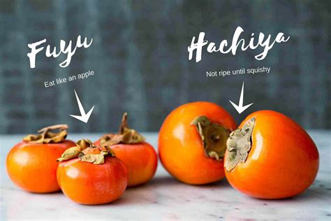Hachiya Persimmon Fruit