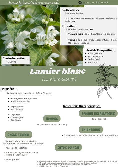 Lamier Blanc Merci à La Lune