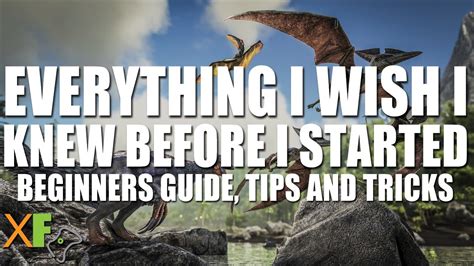 Everything I Wish I Knew Before I Started Ark Survival Evolved 2019