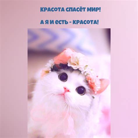 Картинки с надписями Красота спасёт мир А я и есть красота