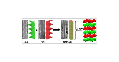 Unraveling The Self Assembly Modes In Multicomponent Supramolecular