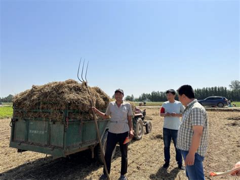 通许县孙营乡开启“秸秆禁烧”模式 筑牢秸秆禁烧“防火墙”中国网
