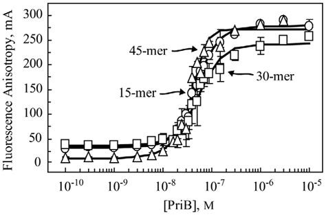 Single Stranded Dna Binding Activity Of K Pneumoniae Prib Prib