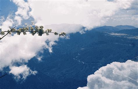 Selected Works Zihan Zhang 谷德设计网