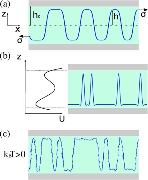 Figure From Transition To Coarsening For Confined One Dimensional