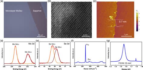 Characterization Of Structure And Element Composition Of Mose2 A Om