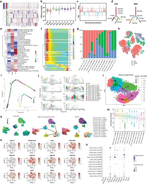 copy number variation cnv and clonal evolution analysis of metastatic