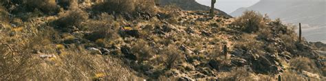 543132 Ahwatukee Foothills Impolicy Fcropandw 1920andh 480andq Medium