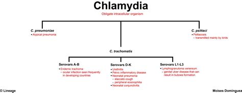Chlamydophila Microbiology Medbullets Step 1