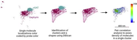 Image Analysis Pipeline Single Molecule Localizations Of The Same Probe