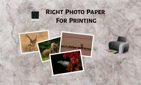 5 Different Photo Printing Paper Types Photographyaxis