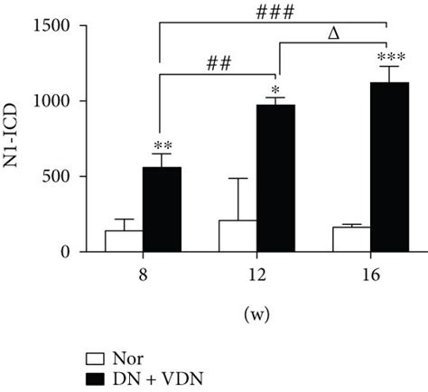 Detection Of Notch1 Rbp Jk Msx2 Jagged1 And N1 Icd Levels By