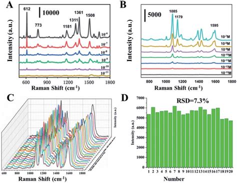 A Sers Spectra Of R6g At Different Concentrations B Sers Spectra