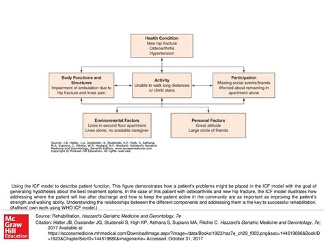Using The Icf Model To Describe Patient Function Ppt Download