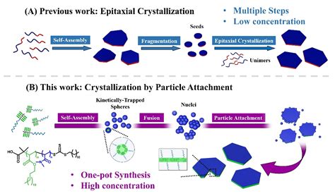 粒子附着结晶机理实现一锅法宏量制备尺寸均一的二维片状胶束 X Mol资讯