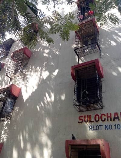 Sulochana Apartment Photos Garodia Nagar Mumbai Pictures