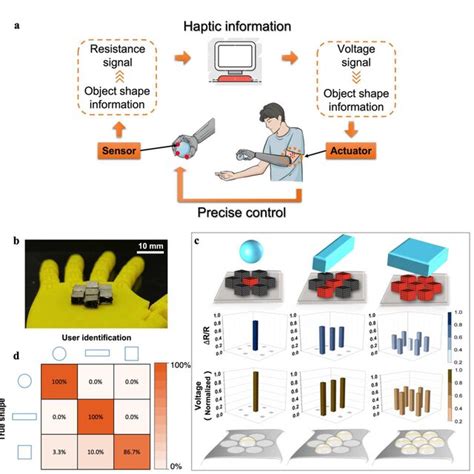 Object Shape Recognition A Schematic Diagram Of The Closed Loop Haptic