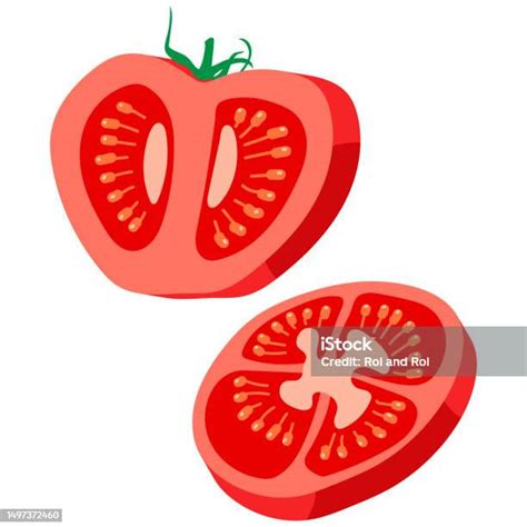 Tomato Slice Vector Cartoon Illustration Isolated On A White Background