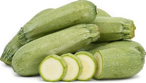 Are Zucchini And Courgette The Same Thing
