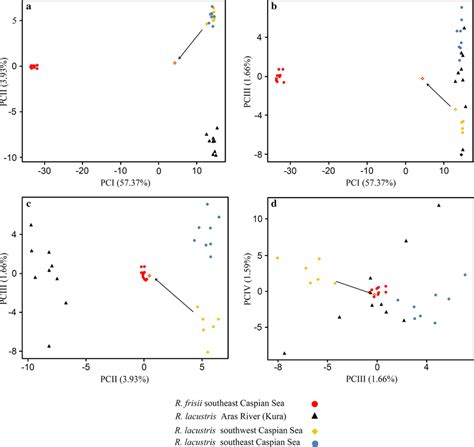 Distribution Of Different Populationsspecies In Pca Graphs Along The Download Scientific Distribution Of Different Populationsspecies In Pca Graphs Along The Download Scientific