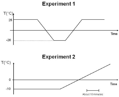 representation of the two experimental protocols download scientific