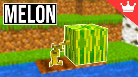 How To Find And Farm Melons In Minecraft All Versions Youtube