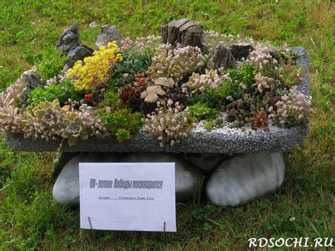 Композиции из кактусов и суккулентов 17 36