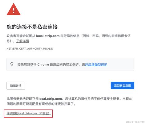 本地nodejs服务启用访问local Ssl Proxy Csdn博客