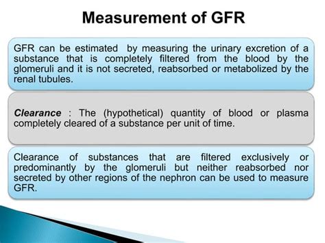 Renal Function Tests Pptx