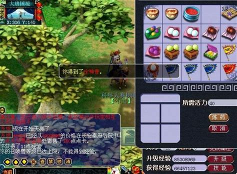 梦幻西游140炼药vs140烹饪谁更赚钱 赚钱攻略 梦幻西游新手站