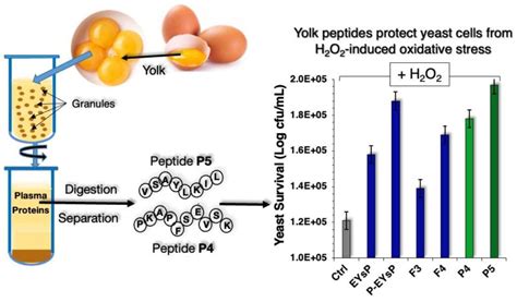 The Journal Of Functional Foods In Health And Disease On Linkedin Identification Of Potent
