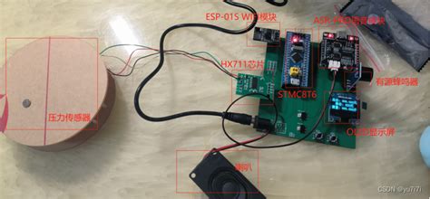 单片机毕设：基于stm32和语音的物联网热量秤 smt32 物联网卡 csdn博客