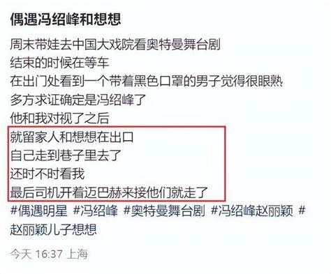 冯绍峰带儿子去看舞台剧，生图曝光，5岁想想完美继承赵丽颖基因带着时尚网友
