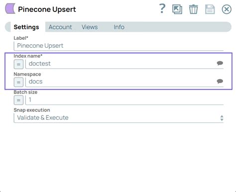 Insert Update Values In The Pinecone Database
