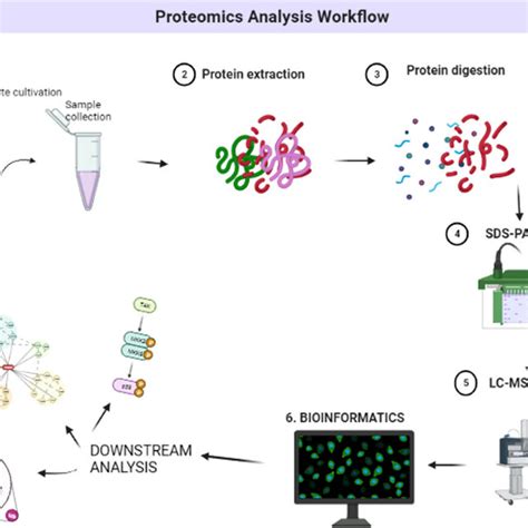 Mass Spectrometry Based Proteomics For The In Vitro Profiling Of Download Scientific Diagram
