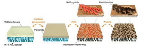200306 中国科学院苏州纳米技术与纳米仿生研究所 科技论文配图 医学动画 动画宣传片 三维动画制作 北京中科幻彩