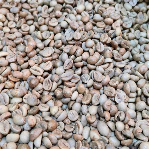 Premium Indian Robusta Sustainably Sourced Green Coffee Beans