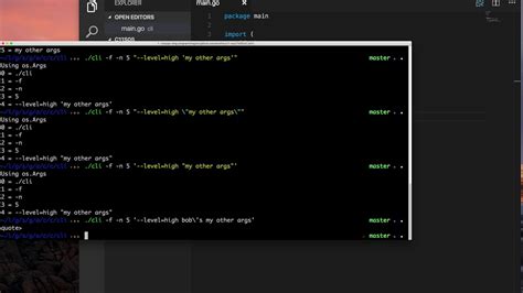 Golang Flags Double Dash At Alison Mclemore Blog
