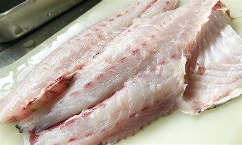 皮まで食べるためのハタマスクエの捌き方すき引きのコツは CooNelNel